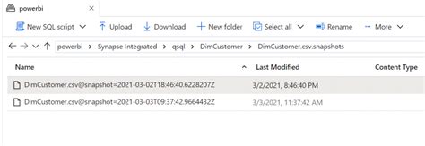 Use Synapse On Demand Sql To Read Power Bi Dataflow Cdm Data Vesa