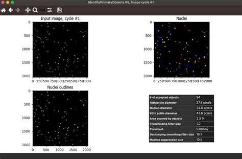 Cellprofiler Identifyprimaryobjects Error Usage And Issues Imagesc Forum