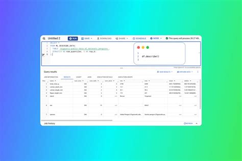 bigquery introduces ml describe function for enhanced data analysis