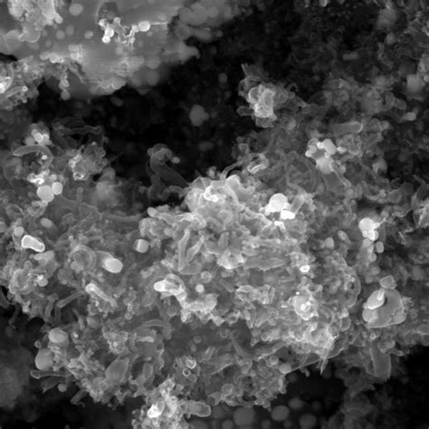 SEM Image Of Carbon Fe LiF Nanocomposite Download Scientific Diagram