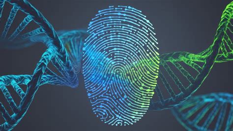 Futuristic Fingerprint Overlay On Dna Strands Symbolizing Identity And Genetics Integration