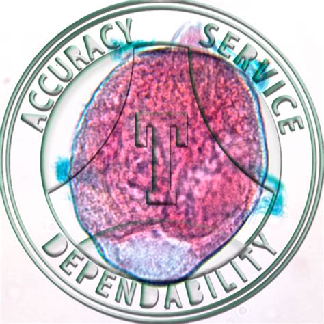 Protozoan Prepared Microscope Slides