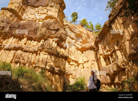 Female Geologist With Backpack Exploring Nature Trail In Forest And Analyzing Rock Or Gravel