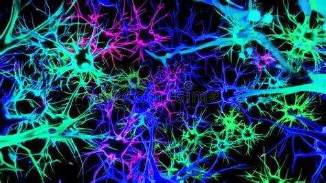 Dynamic Neural Network Simulation In Vibrant Colors Pulsating Across A Digital Stock Footage
