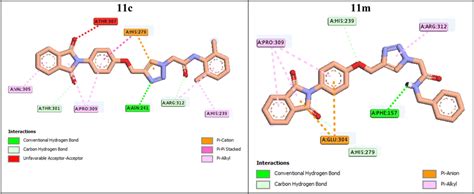 2d Interaction Modes Of The Inactive Compounds 11c And 11 M In The Download Scientific Diagram