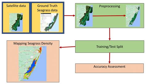 Remote 🌊🌿🌊 Quantifying Seagrass Density Using Sentinel2 Data And Machinelearning ️ Martin