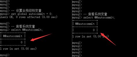 史上最简单的 mysql 教程（三十一）「数据库变量」 数据库的变量 csdn博客