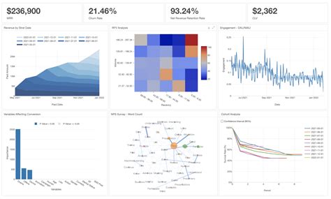 Saas Subscription Business Data Analysis