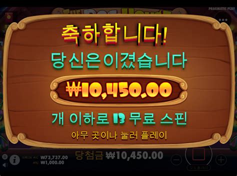 비제휴 후기