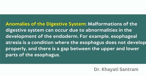 Endoderm Anatomy Pdf