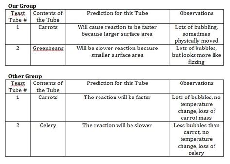 Enzyme Lab Jeremy Boudah S AP Biology Lab Notebook
