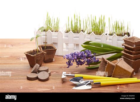 Gardening Tools And Seedlings Stock Photo Alamy
