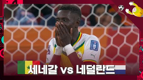 107회 오늘은 통곡의 벽 게예의 슛마저 봉쇄한 네덜란드 골키퍼 노페르트 세네갈 Vs 네덜란드 2022 카타르