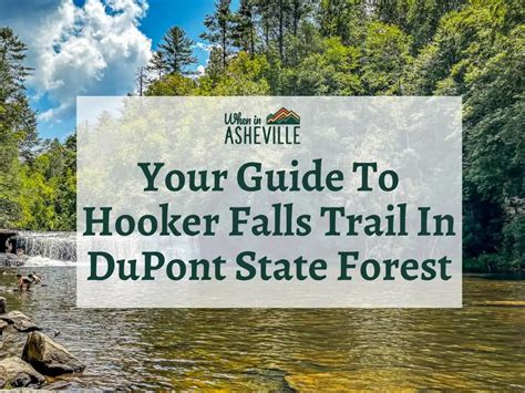 Your Guide To Dupont State Forest North Carolina