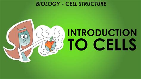 Introduction To Cells Cell Structure