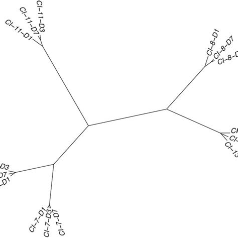 Neighbor Joining Tree Of Euclidean Distances Between Clinical Isolates Download Scientific Diagram