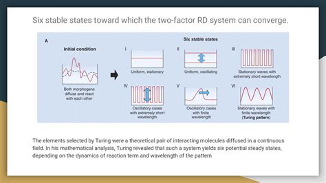 Reaction And Diffusion System Ppt Download