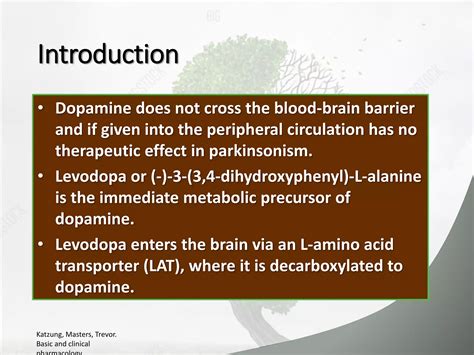 Levodopa Ppsx Brain And Nervous System Disorders Diseases And