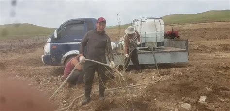 Мод тарилт нүх ухалт 1 ₮ №6607717 УБ — Хан Уул д Ургамал мод тарих Unegui Mn