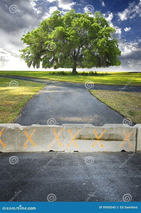 Tree Protection Stock Image Image Of Scene Block Tree 9950545