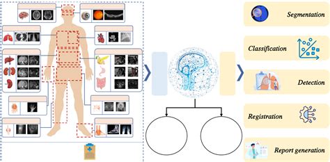 논문 리뷰 Medical Multimodal Foundation Models in Clinical Diagnosis and Treatment Applications