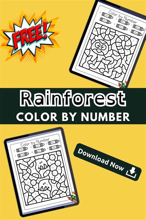 Rainforest Color By Number Engaging And Educational Prebabe Activity Prebabe Activity