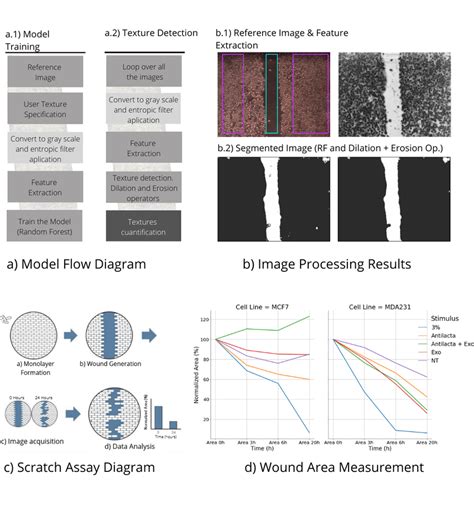 A Algorithm Flow Diagram A1 Training Process A2 Texture Download Scientific Diagram