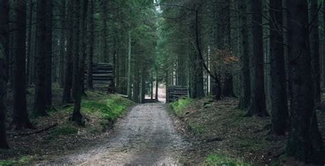 Understanding Kubernetes The Container Orchestrator Bright Softwares