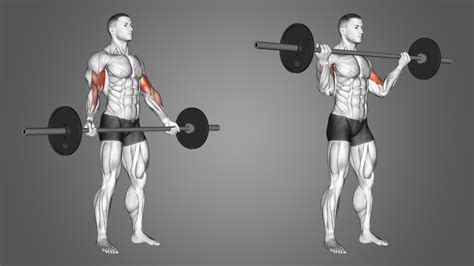 Ez Bar Curl Muscles Worked How To Do An Ez Bar Reverse Close Grip Curl
