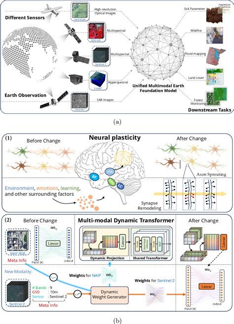 Figure 1 From Neural Plasticity Inspired Multimodal Foundation Model