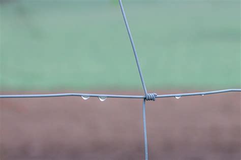 Grid Wire Structure Free Photo On Pixabay