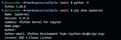 Kernel Picker In Vscode For Web On Codespaces Is Empty Shows Only