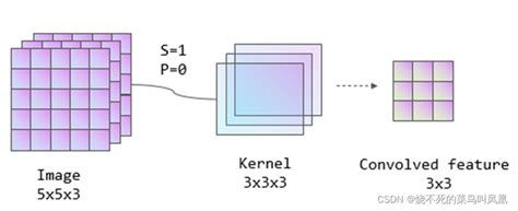 深度学习模型复杂度计算详细解析 Csdn博客
