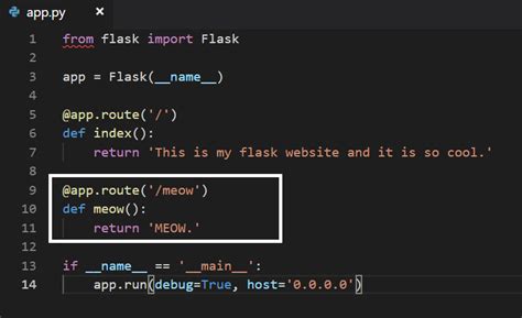 How To Make Your Own Python Dev Server With Raspberry Pi