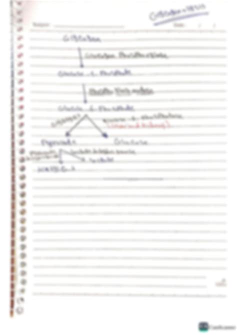 Solution Biochemistry Pathways Studypool