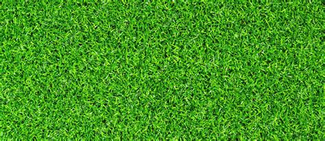 Premium Photo Flat Green Grass Texture Background Short Artificial