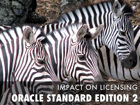 oracle standard edition 2 by rik williams