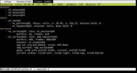 Gtk4 Window Gets Clipped Within Container · Issue 6223 · Swaywmsway
