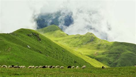 Dayara Bugyal Trek Package Itinerary And Cost