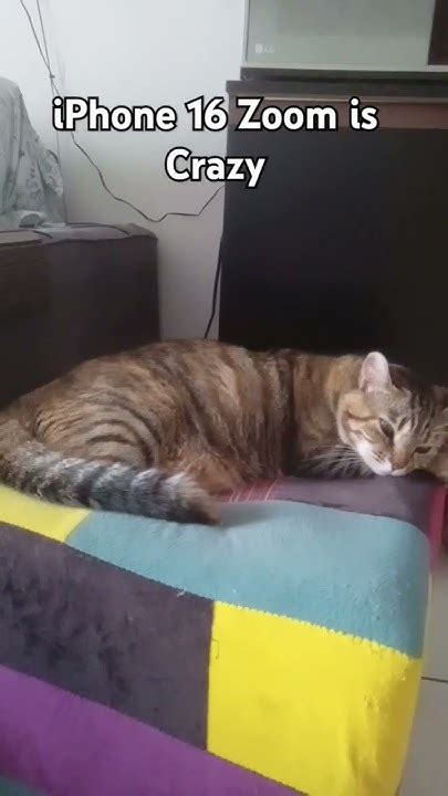 😨 Shorts Viral Youtube