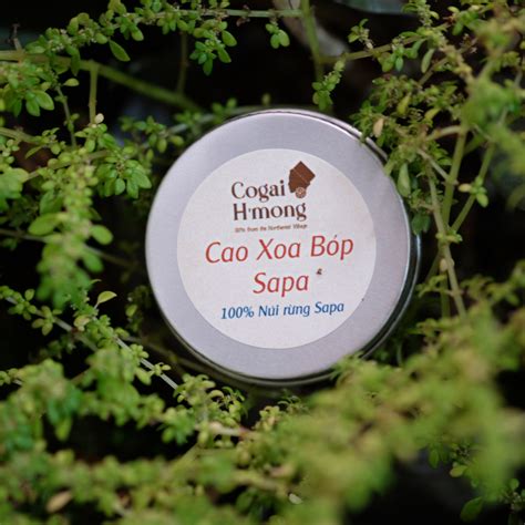 Cao Xoa Bóp Sapa Cô gái H Mông
