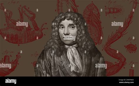 Antonie Philips Van Leeuwenhoek 1632 1723 A Dutch Microbiologist