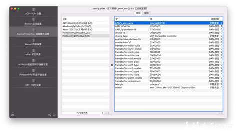 黑苹果折腾记录1 Intel十代核显uhd630的驱动和hdmi接口黑屏的解决方法 哔哩哔哩