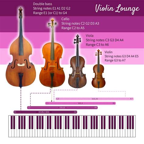 Violin Range Vs Viola Cello And Double Bass Violin Lounge Tv 538
