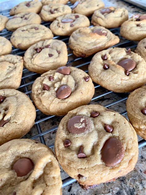 Cookie Multiple Toned N Tasty