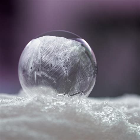Premium Photo Close Up Of Frozen Ball