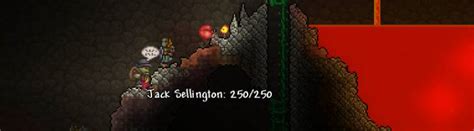 Terraria Npc List And Move In Requirements