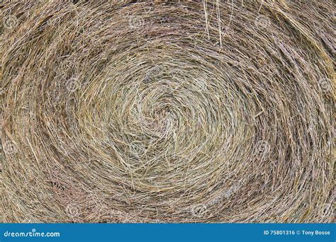 Bale Shaped Hay Texture Background Royalty Free Stock Image 75801316