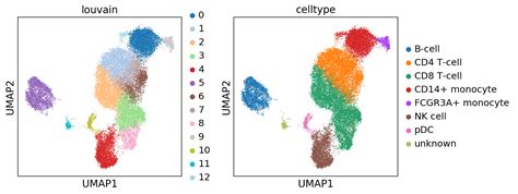 Notebook 2 Celltype Annotation And Beyond — Besca 21 Documentation