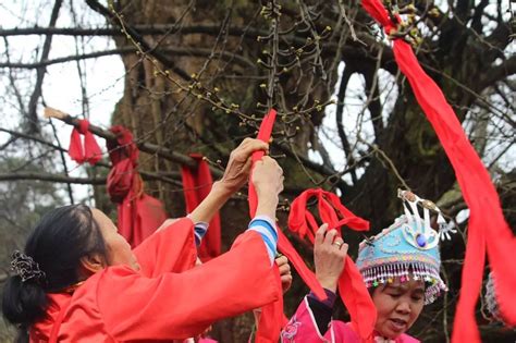 平正仡佬族祭树节带你领略别样的少数民族风情